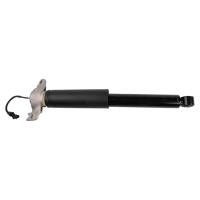 China 23121780 23121781 Shock Absorber Strut For Cadillac XTS 2013-2019 TRQ SKA42932 Front Rear for sale