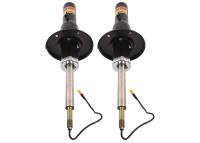 China Rear Left Right Shock Absorber With Electric Control 98733305315 98733305316 For Porsche Cayman 987 Boxster 2005-2012 for sale