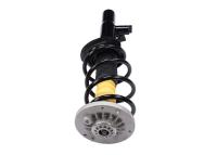 China 37116797028 Front Right Coil Spring Shock Absorber Assembly For BMW X3 F25 2011-2017 X4 F26 2014-2018 for sale