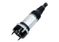 China Rear Left Or Right Air Suspension Strut For Jaguar XJ XJR XJL 2010-2019 C2D23524 for sale