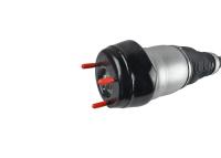China A1663202513 Front Left Air Suspension Shock Strut w/o ADS For Mercedes Benz W166 X166 GL450 GL500 for sale