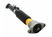 China Rear Right Shock Absorber Complete Assy For Audi A6 C6 Allroad Quattro 4F0616032A for sale