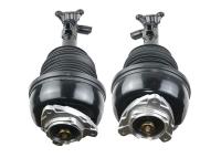 China A2183206513 A2183206613 Front Air Suspension Struts For Mercedes Benz CLS550 CLS400 W218 RWD 12-18 for sale