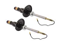 China 98733305305 98733305304 Rear Left & Right Shock Absorber W/PASM For Porsche Cayman 987 Boxster 2005-2012 for sale