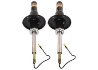 China 98733305305 98733305304 Rear Left & Right Shock Absorber W/PASM For Porsche Cayman 987 Boxster 2005-2012 for sale