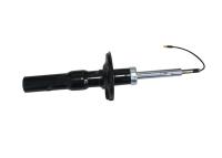 China 98133304512 Rear Left / Right Shock Absorber Core For Porsche Boxster 981 2013-2016 With PASM for sale