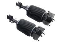 China 4809048010 48080-48010 Rear Left Or Right Air Suspension Shock Strut For 2003-2008 Lexus RX330 RX350 RX450H for sale