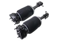 China 4809048010 48080-48010 Rear Left Or Right Air Suspension Shock Strut For 2003-2008 Lexus RX330 RX350 RX450H for sale