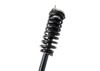 China A2533200530 A2533200630 Front Coil Spring Shock Struts Assys Fit 2016-2021 Mercedes Benz GLC300 GLC63 AMG W253 for sale