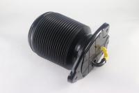 China For Lexus RX270 RX350 RX450H 2009-2015 Rear Left / Right Air Suspension Spring Bags 4808048090 48090-48090 for sale