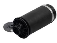 China Air Suspension Spring Rear Left and Right Mercedes-Ben W164 ML-Class ML350 ML500 1643200825 1643200925 1643200625 for sale