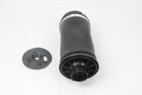 China Mercedes Benz Air Suspension Parts For Mercedes W164 A1643200625 ML Rear Spring for sale