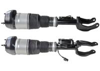 China Front Airmatic Shock Strut For Mercedes W166 A1663201313 A1663201413 for sale