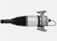 China 95835801900 95835801901 For Porsche Cayenne 92A 958 Touareg 2011-18 Pair Rear Air Suspension Shock Strut for sale