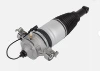 China 95835801900 95835801901 For Porsche Cayenne 92A 958 Touareg 2011-18 Pair Rear Air Suspension Shock Strut for sale