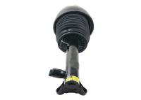China A2123200813 A2123200913 Front Air Suspension Shock Struts Fit for Mercedes W212 C218 E250 E350 E63 AMG 2WD 10-16 for sale
