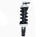 China Rear Shock Absorbers w/Magnetic Ride Control Fit for Audi R8 Lamborghini Huracan 4T0512019L 2015-2021 for sale