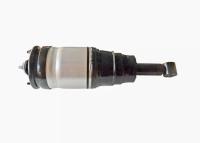 China RPD000308 RPD000309 Rear Air Suspension Strut For Land Rover Discovery III IV L319 L320 2004-2019 for sale