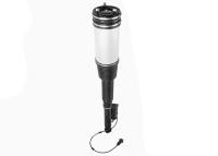 China A2203205013 Rear Air Suspension Strut Shock For Mercedes-Benz S-CLASS W220 S430 S500 1998-2005. for sale