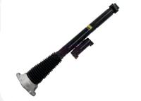 China LR174014 LR174013 Rear Shock Absorber Struts ARC For Land Rover Range Rover 3.0L L460 2021- for sale