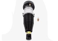 China Front Left / Right Air Suspension Strut Shock For 2018- Audi A8 4N8 D5 4N4616040F for sale
