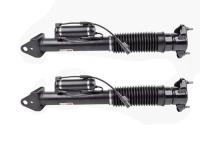 China A1663200130 Rear Shock Absorber with ADS for Mercedes Benz GL-Class W166 X166 M W166 4 Matic for sale