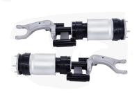 China 162036100D 162036100C Front Air Suspension Shock Struts For Tesla Model S 5YJS 19-23 X 5YJX 16-23 for sale