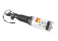 China New Front Left Air Suspension Shock Strut for Hyundai Equus 2011-2016 546053N516 for sale