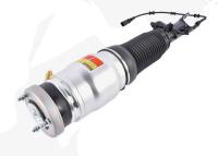 China New Front Left Air Suspension Shock Strut for Hyundai Equus 2011-2016 546053N516 for sale