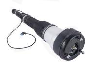 China A2213205513 A2213205613 Rear Air Suspension Shock Strut For Mercedes Benz CL550 W221 S350 450 550 for sale