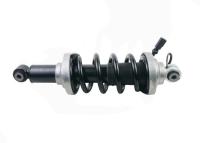 China 4S0512020 Rear L+R Coil Spring Shock Absorber Assy for Audi R8 Spyder 4S9 2016-2021 for sale