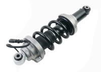 China 4S0512020 Rear L+R Coil Spring Shock Absorber Assy for Audi R8 Spyder 4S9 2016-2021 for sale