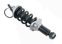 China 4S0512020 Rear L+R Coil Spring Shock Absorber Assy for Audi R8 Spyder 4S9 2016-2021 for sale