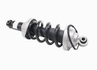 China Rear Shock Struts Assys with Electric Fit 2016-2021 Audi R8 4S3 4SP 2016-2021 4S0512019G for sale