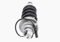 China Rear Shock Struts Assys with Electric Fit 2016-2021 Audi R8 4S3 4SP 2016-2021 4S0512019G for sale