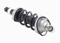 China Rear Shock Struts Assys with Electric Fit 2016-2021 Audi R8 4S3 4SP 2016-2021 4S0512019G for sale