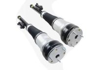 China A2223205213 A2223205313 Rear Air Suspension Shock Struts Fit Mercedes S-Class W222 S500 S63 AMG 2013- for sale