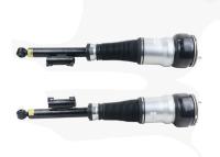 China A2223205213 A2223205313 Rear Air Suspension Shock Struts Fit Mercedes S-Class W222 S500 S63 AMG 2013- for sale