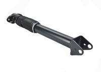 China A1663201730 A1663201830 Rear Shock Absorber Struts For Mercedes W166 C292 ML350 GLE63 AMG S w/o ADS for sale