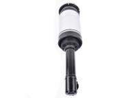 China Front Air Suspension Shock Struts w/VDS LR090609 Fit for Land Rover Range Rover Velar L560 for sale