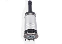 China Front Air Suspension Shock Struts w/VDS LR090609 Fit for Land Rover Range Rover Velar L560 for sale