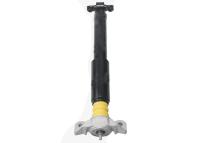 China DG9C-18K077-AED DG9C-18K078-AED Rear Air Suspension Shock Strut Absorber Assy For Ford Mondeo MK5 2014-2022 for sale