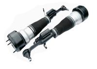 China A2213205313 A2213205413 A2213200438 A2213200538 Front Air Suspension Strut Shock Absorber for Mercedes-Benz W221 C216 S550 for sale