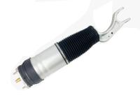China 102736100E Front LH or RH Air Suspension Strut Fit for Tesla Model X 75D P90D P100D 2016-2019 for sale