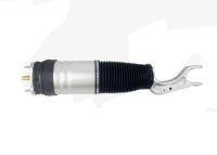 China 102736100E Front LH or RH Air Suspension Strut Fit for Tesla Model X 75D P90D P100D 2016-2019 for sale