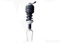 China 4T0412019R 4T0412019AB Front Magnetic Air Suspension Shock Strut w/Lift For Lamborghini Huracan LP610 2015-2023 for sale