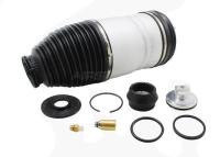 China Front Air Suspension Shock Spring Bag for Dodge Ram 1500 13-19 4877147AA 4877146AA for sale