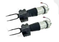 China 9J1616037 9J1616038 Front Air Suspension Shock Struts with PASM Fits for Porsche Taycan Y1A Y1B Y1C GTS Turbo S for sale
