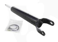 China 4877146AA  4877147AA Front Left/Right Air Suspension Strut Shock Core for Dodge Ram 1500 2013-2019 for sale