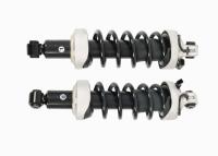 China 420512019AK 420512020AK Rear Suspension Shock Struts with Magnetic Ride Control For Audi R8 V8 4.2L 5.2L 2007-2015 for sale